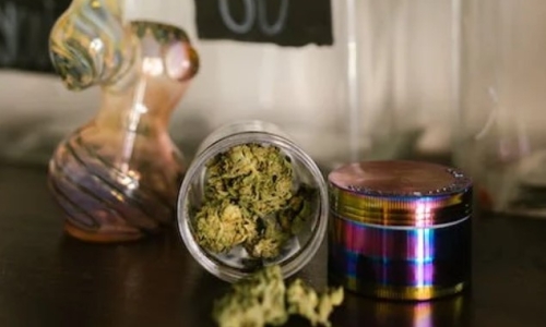 New Adult-Use Cannabis Business Licenses Approved in New York - WeedLife News Network - WeedLife ...